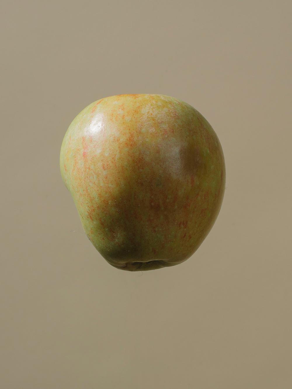 Apfel: Streuobstwiesen sind vom Aussterben bedroht | ZEITmagazin