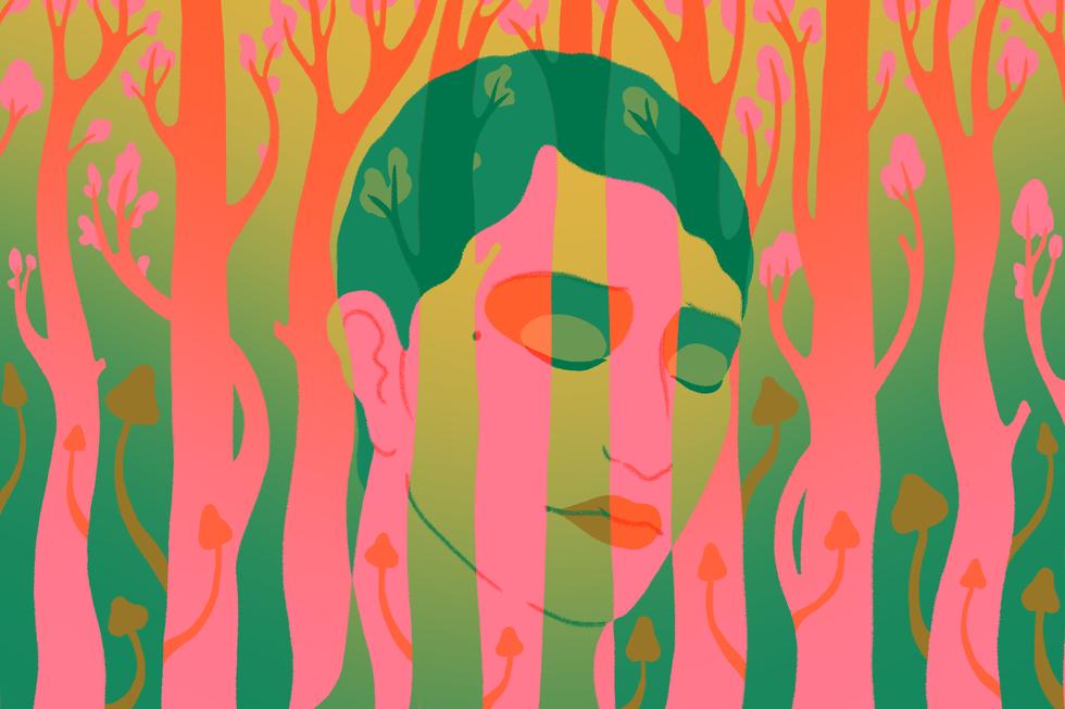 Alisa Schellenberg | Autoren | ZEIT ONLINE