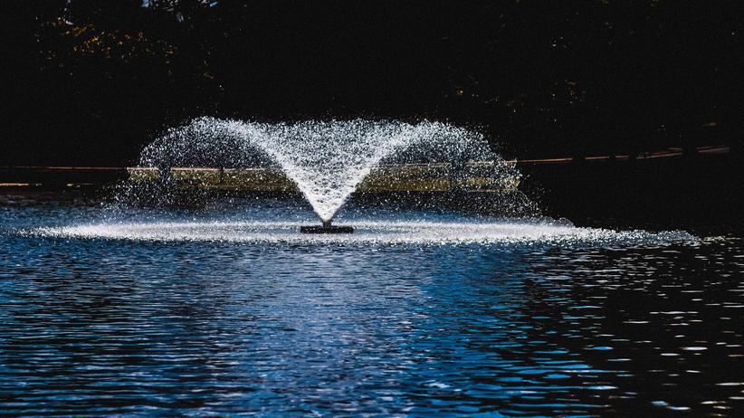 Weibliche Ejakulation: Weibliche Ejakulation: Ja, auch Frauen spritzen ...